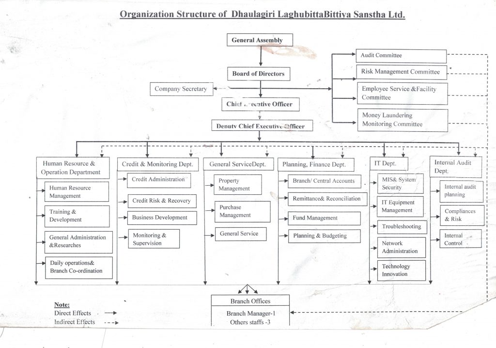Organization Chart – Dhaulagiri Laghubitta Bittiya Sanstha Limited